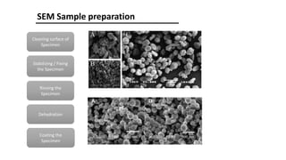 Lec 3; Microscopy ALI.pptx