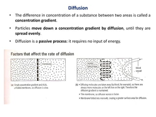 Lec 3 of bio chemistry of life | PPT