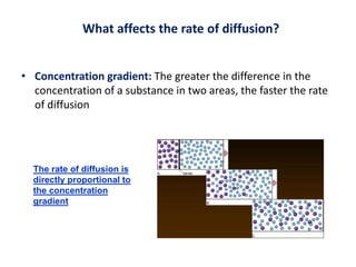 Lec 3 of bio chemistry of life | PPT