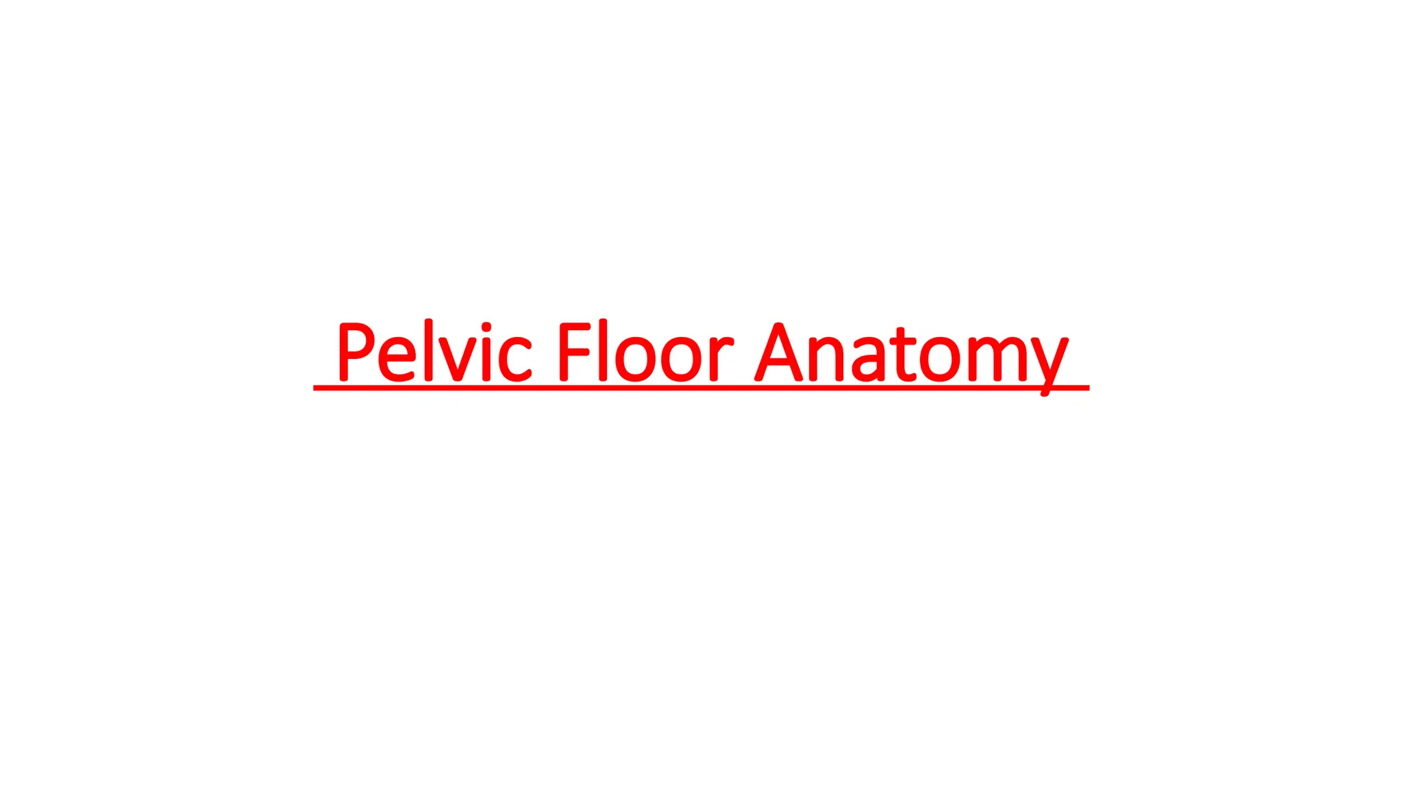 pelvic floor muscles physical therapy presentation | PPTX