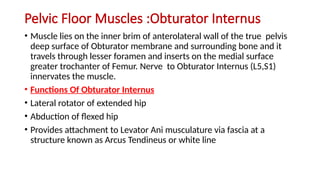 pelvic floor muscles physical therapy presentation | PPTX