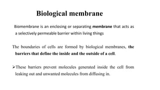 Lec # 3 Biological membrane and its contents | PPT