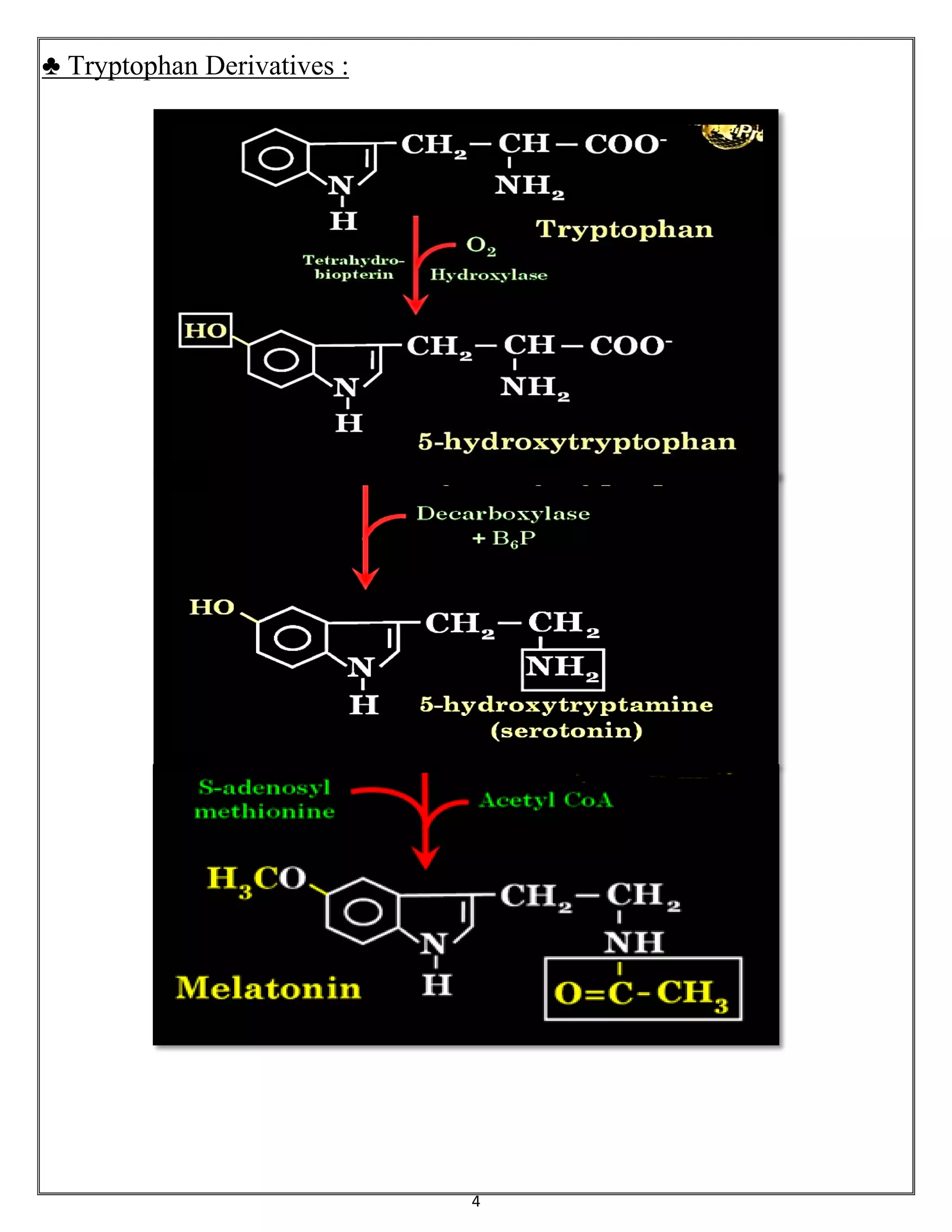 Biosynthetic reactions of amino acids and Gel Electrophoresis | PDF