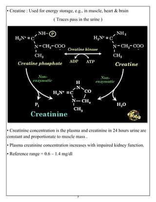 Biosynthetic reactions of amino acids and Gel Electrophoresis | PDF