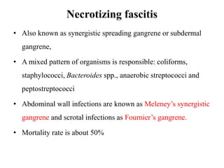 lec 3rd wound cont.pptx