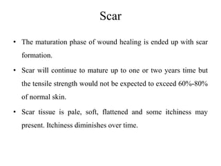 lec 3rd wound cont.pptx