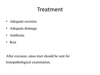 lec 3 rd year sinus.pptx