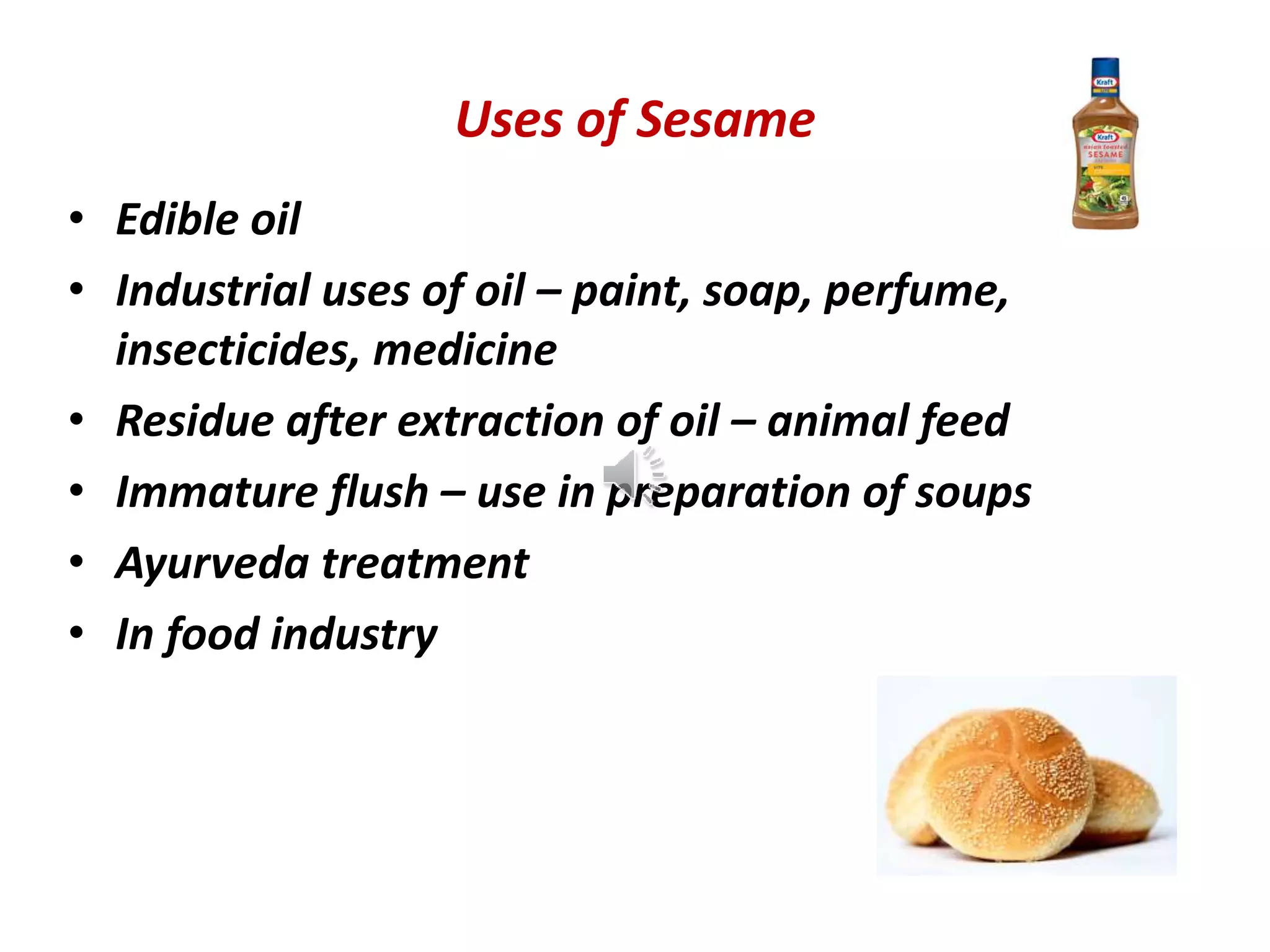 Lec 3 Sesame. edited-31.pptx