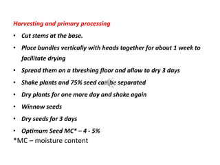 Lec 3 Sesame. edited-31.pptx