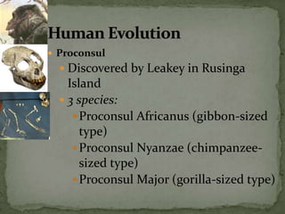 Lec 3 socio | PPTX | Geology | Science