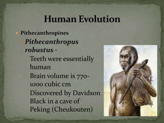Lec 3 socio | PPTX | Geology | Science