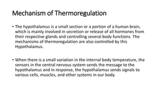 lec 3 Thermoregulation and its mechanism | PPT