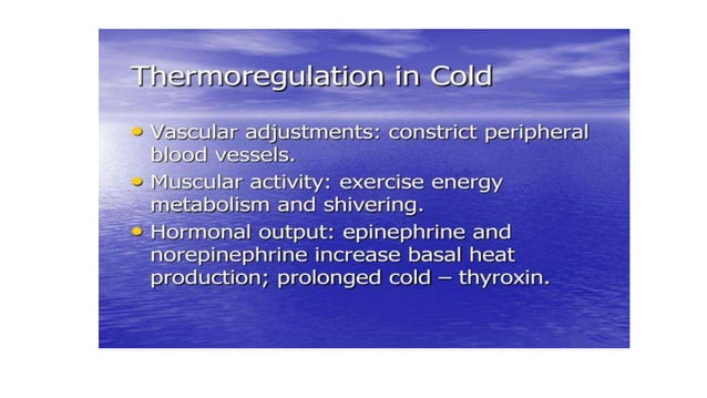 lec 3 Thermoregulation and its mechanism | PPT