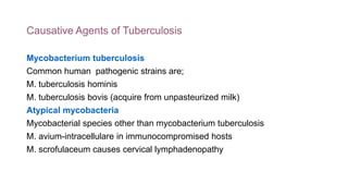 Lec 3 tuberculosis 3 | PPTX