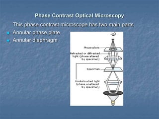 Types and applications of Microscopy.ppt