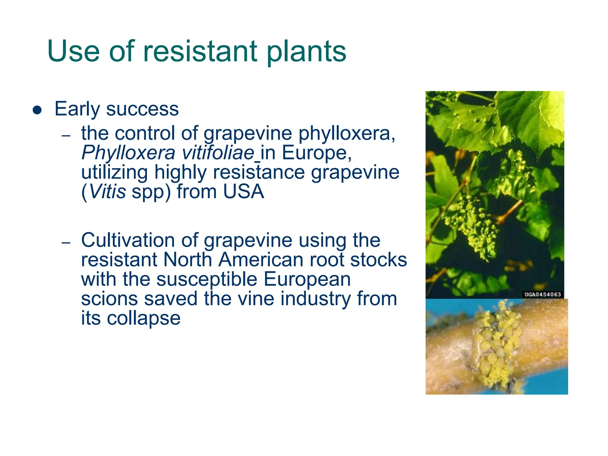 Types and classification of plant resistance to insects.ppt