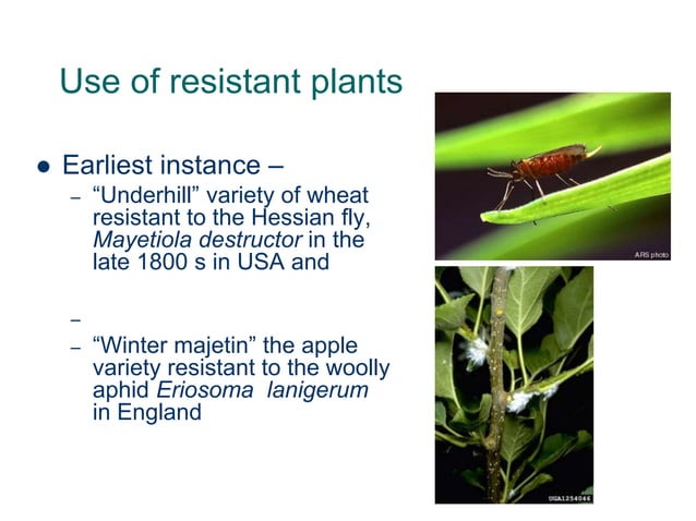 Types and classification of plant resistance to insects.ppt ...
