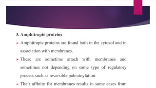 Lec # 4- structure of cell membrane | PPTX | Chemistry | Science