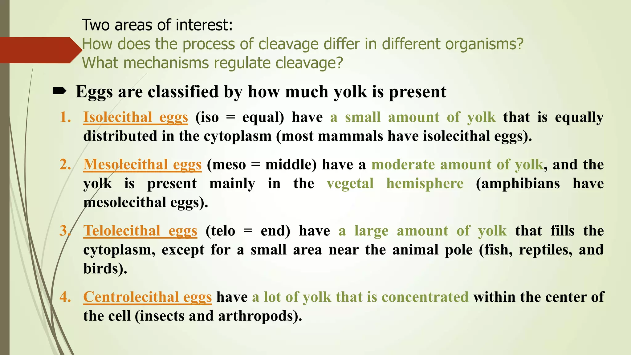 Cleavage | PPT