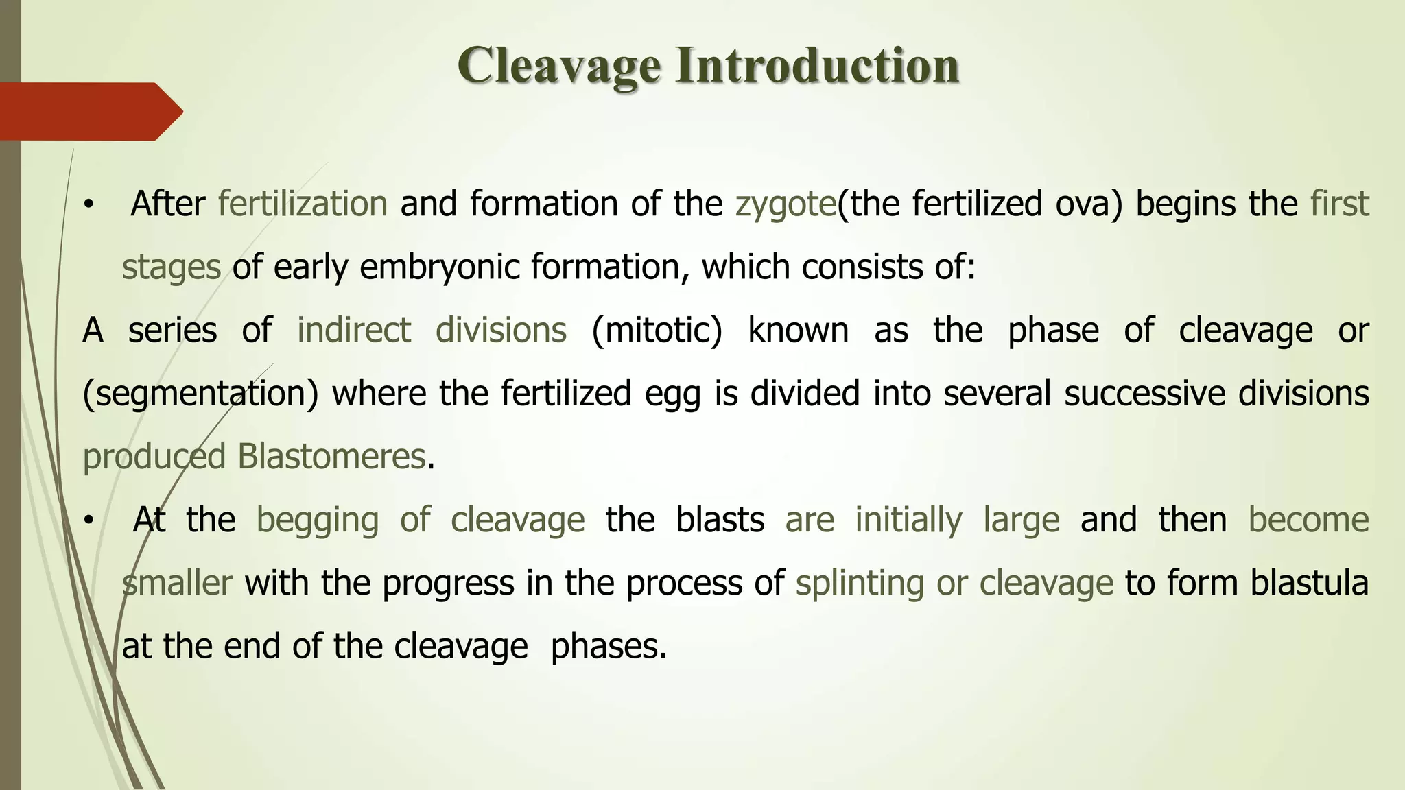 Cleavage | PPT