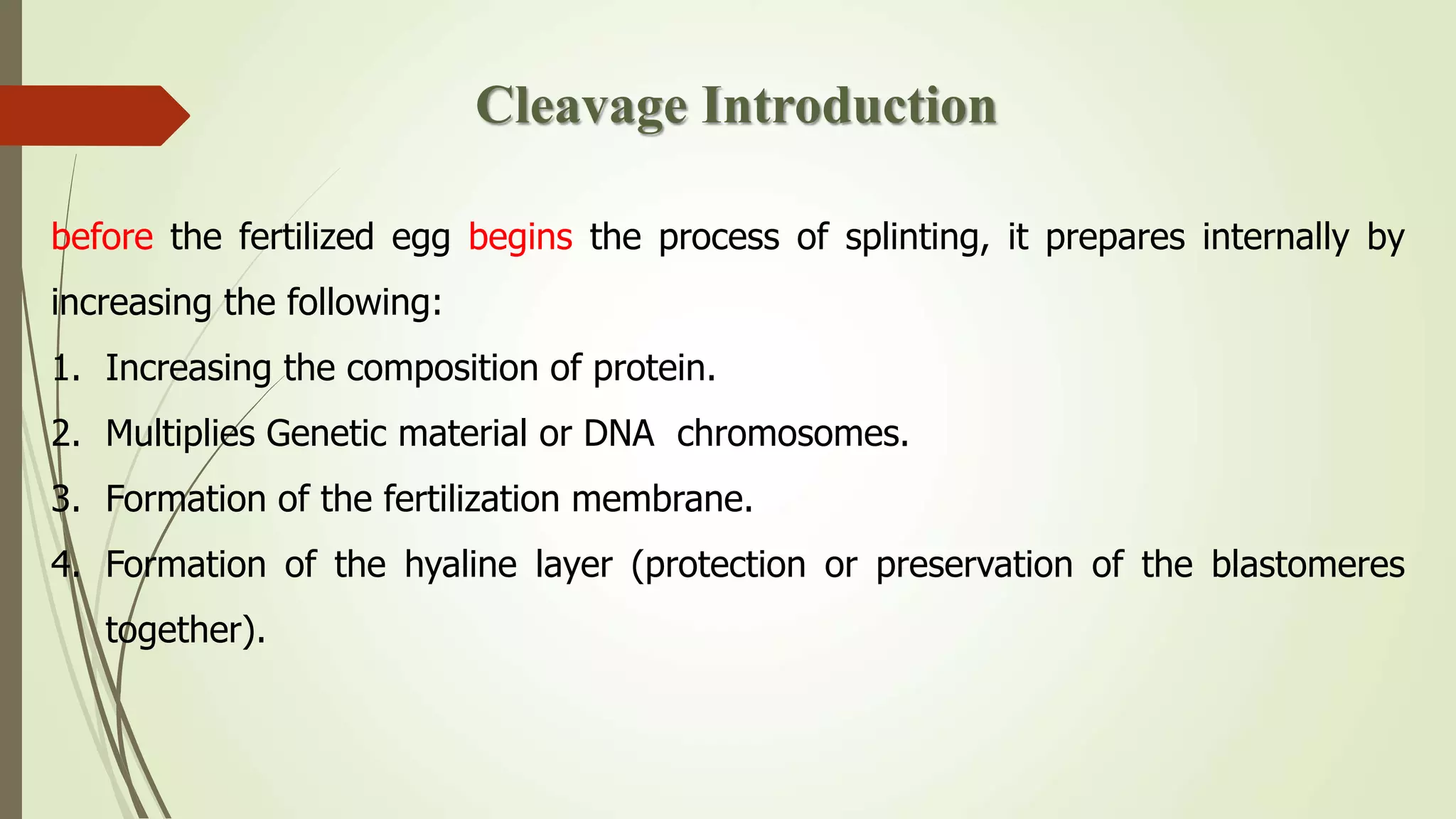 Cleavage | PPT