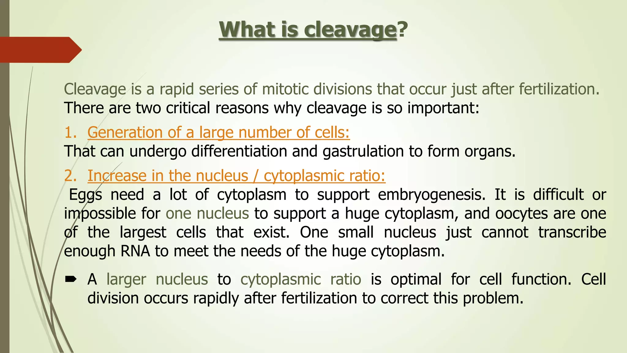 Cleavage | PPT