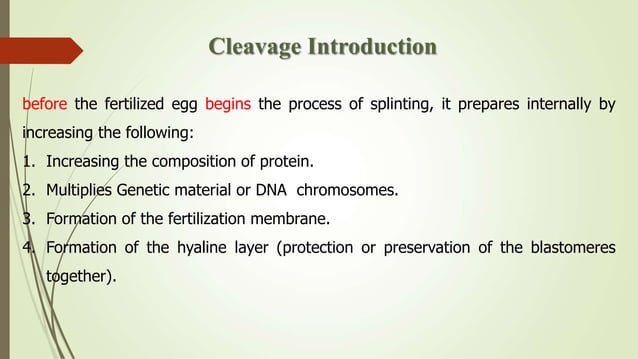 Cleavage | PPT