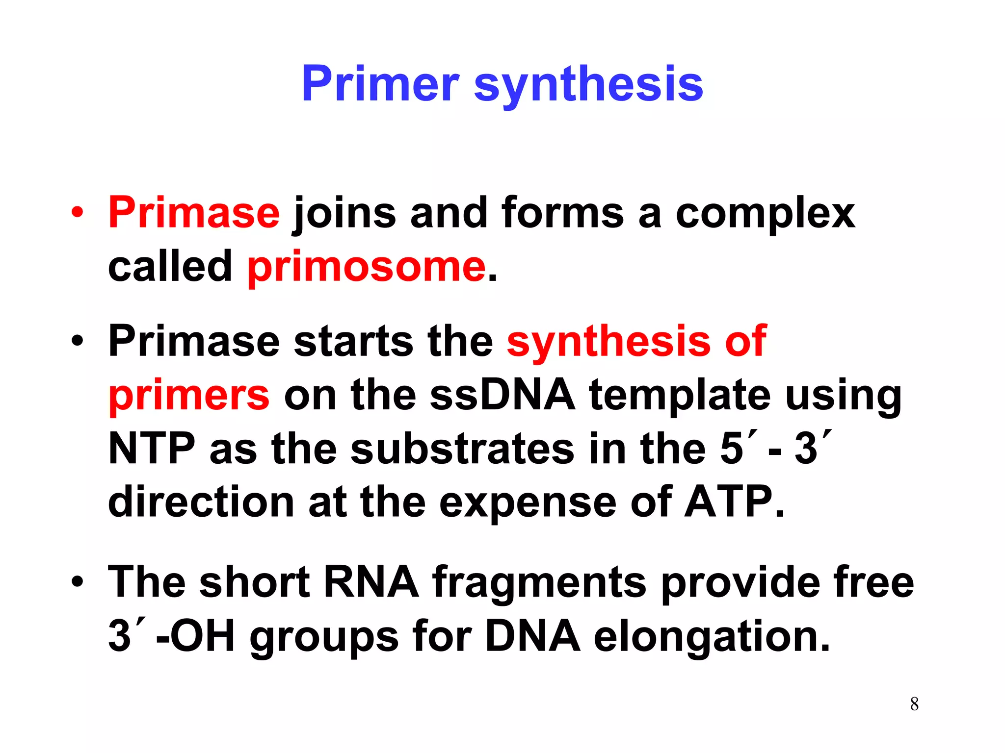 DNA Replication process lecture 2.pptx