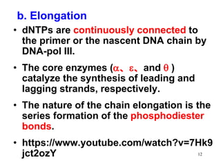 DNA Replication process lecture 2.pptx