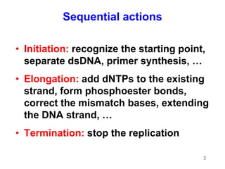 DNA Replication process lecture 2.pptx