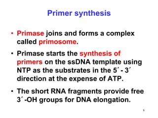 DNA Replication process lecture 2.pptx