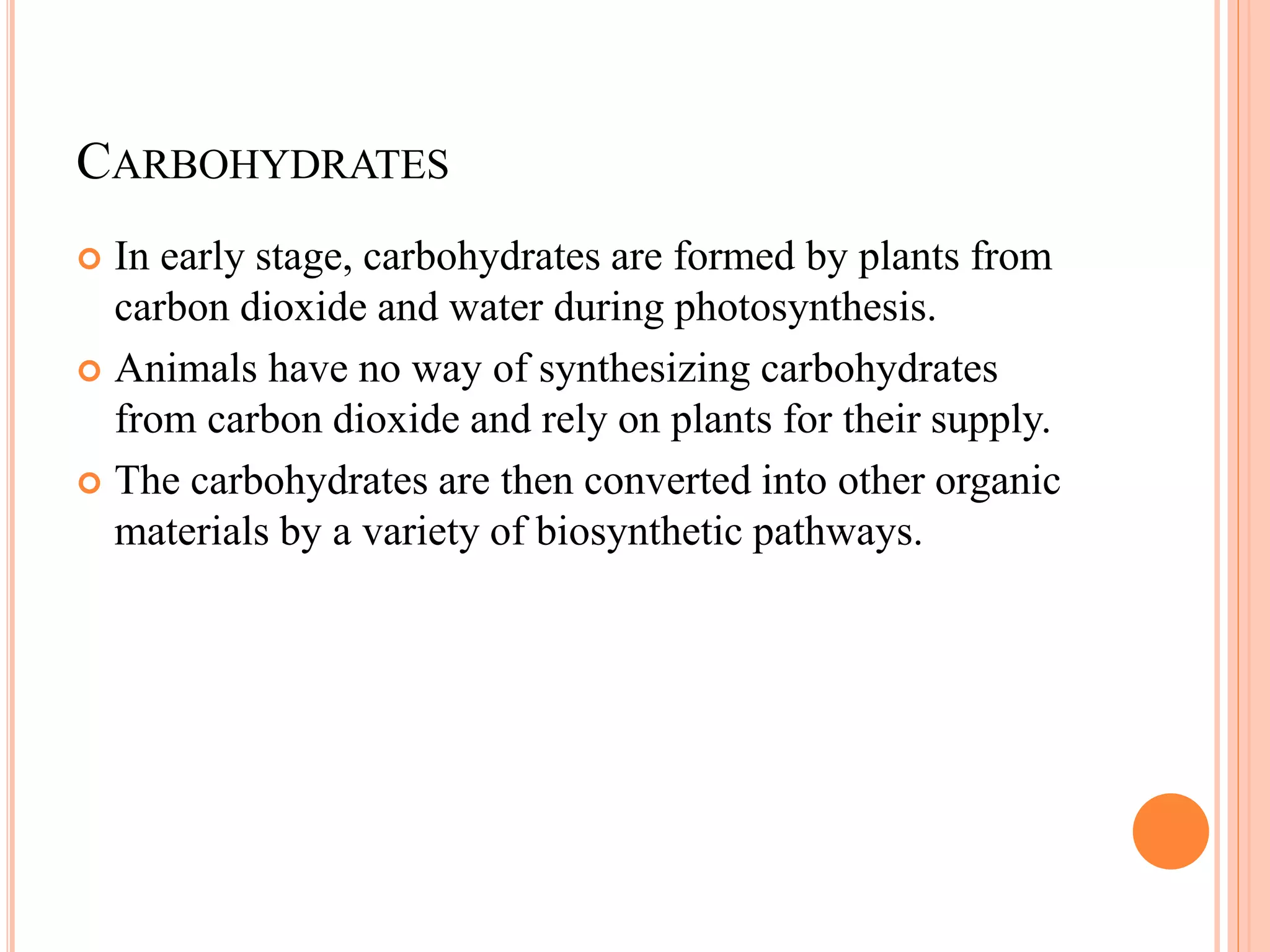 Lec 4. Carbohydrates.pptx
