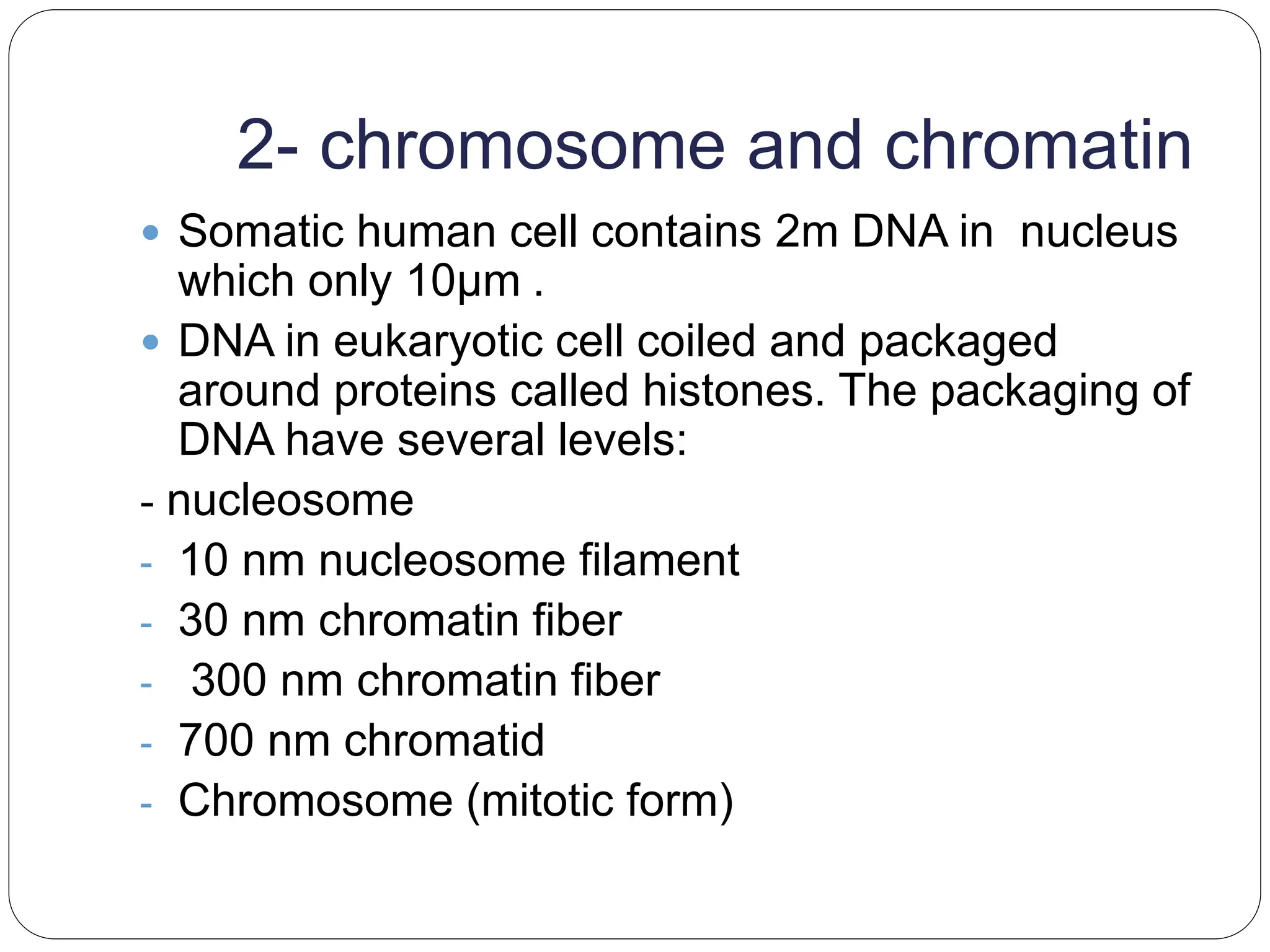 cell nucleus mitochondria chloroplast structure and function | PPT