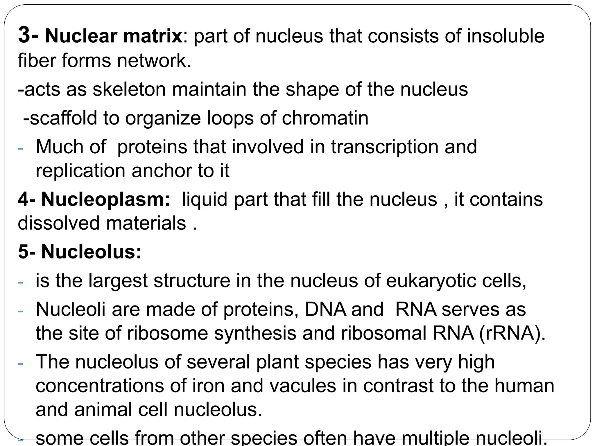 cell nucleus mitochondria chloroplast structure and function | PPT