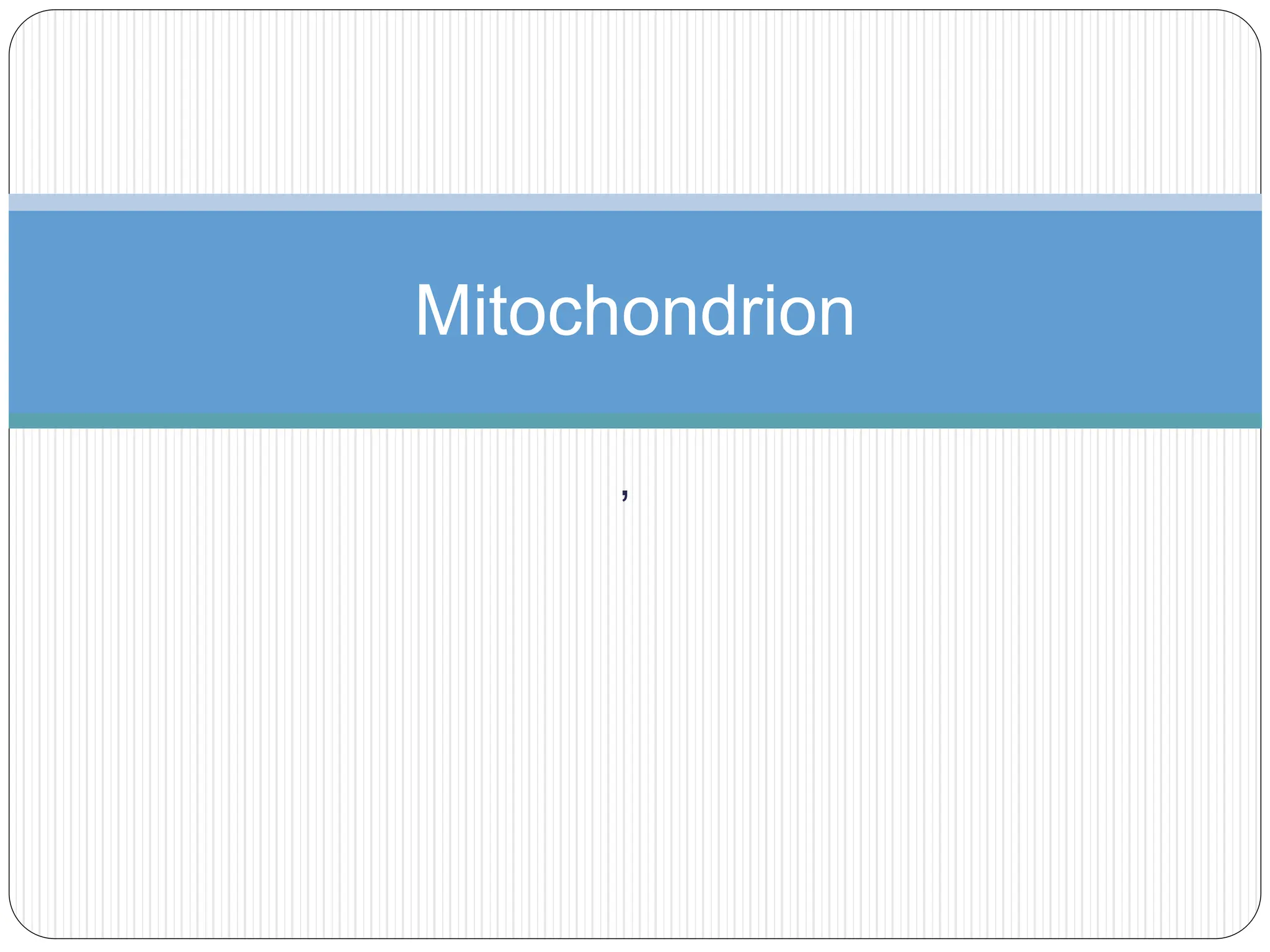 cell nucleus mitochondria chloroplast structure and function | PPT
