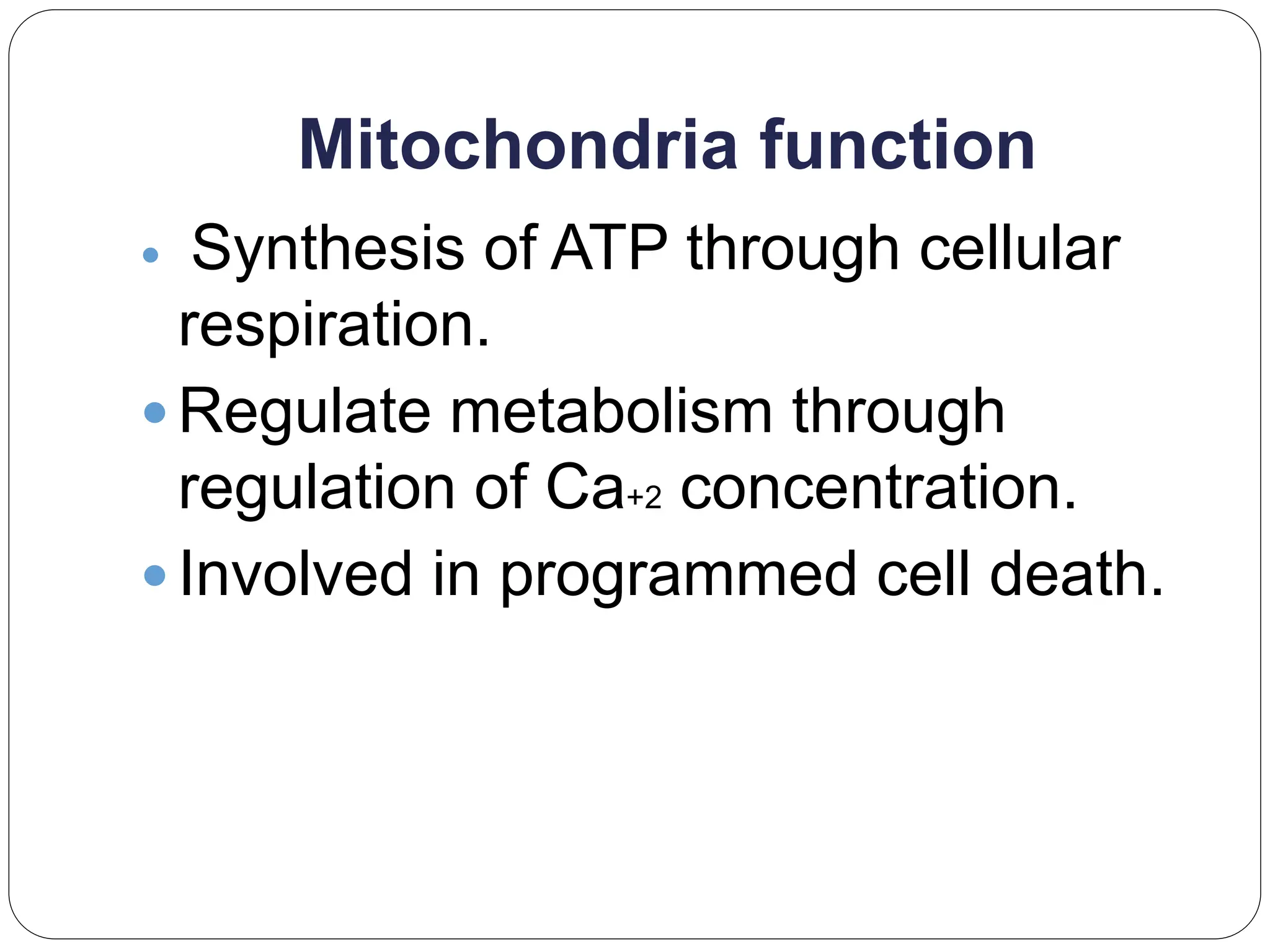 cell nucleus mitochondria chloroplast structure and function | PPT