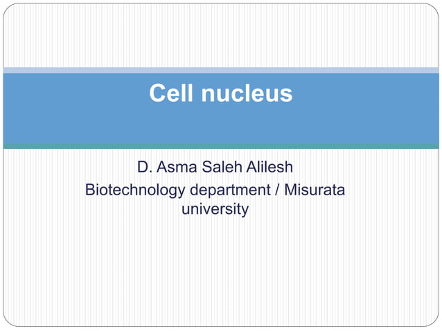 cell nucleus mitochondria chloroplast structure and function | PPT