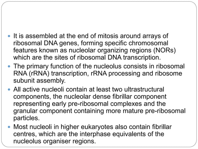 cell nucleus mitochondria chloroplast structure and function | PPT