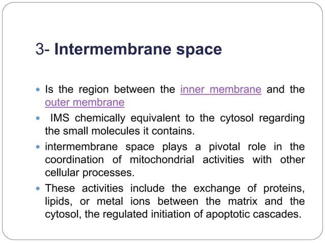 cell nucleus mitochondria chloroplast structure and function | PPT
