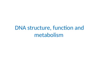 Lecture 04. DNA structure, function.ppt