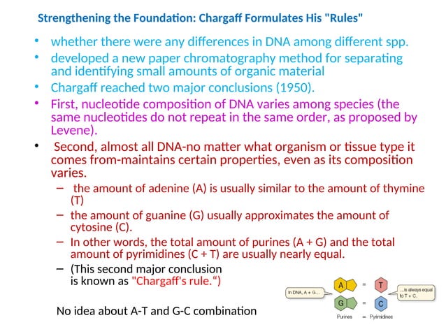 Lecture 04. DNA structure, function.ppt