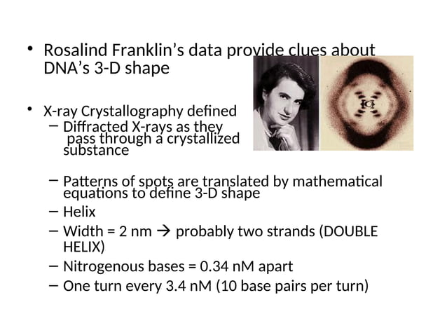 Lecture 04 Dna Structure Function Ppt