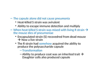 Lecture 04. DNA structure, function.ppt