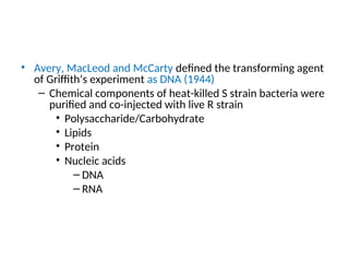Lecture 04. DNA structure, function.ppt