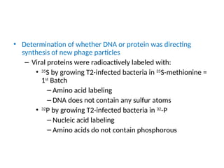 Lecture 04. DNA structure, function.ppt
