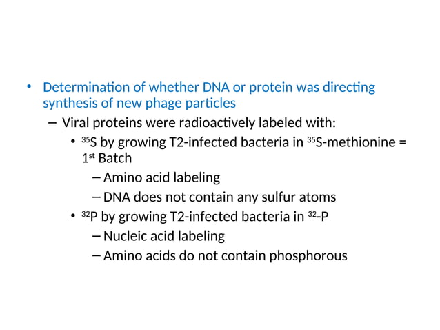 Lecture 04. DNA structure, function.ppt