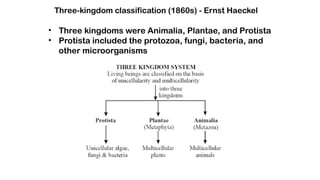 Introduction to pro and eukaryotes and differences.pptx