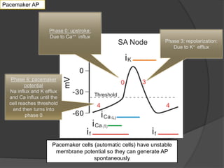 Antiarrhythmic_drugs | PPT