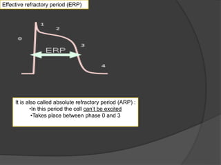 Antiarrhythmic_drugs | PPT