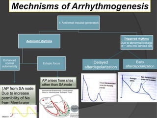 Antiarrhythmic_drugs | PPT